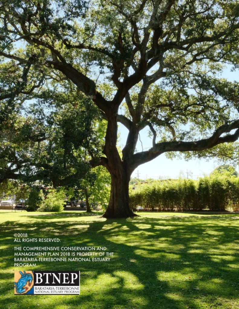 CCMP – BTNEP CCMP Review