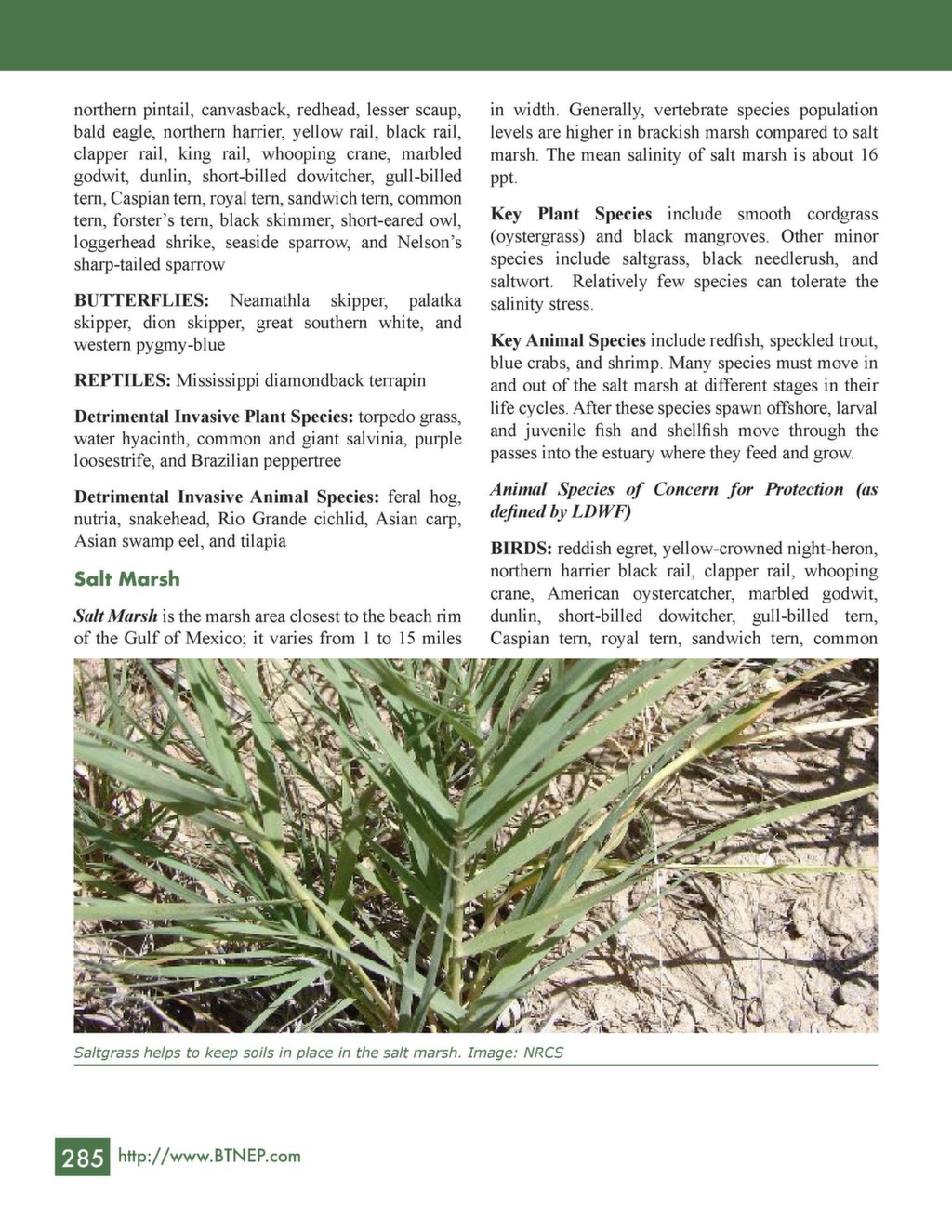 Chapter 8: Habitat Protection and Restoration Summary – CCMP